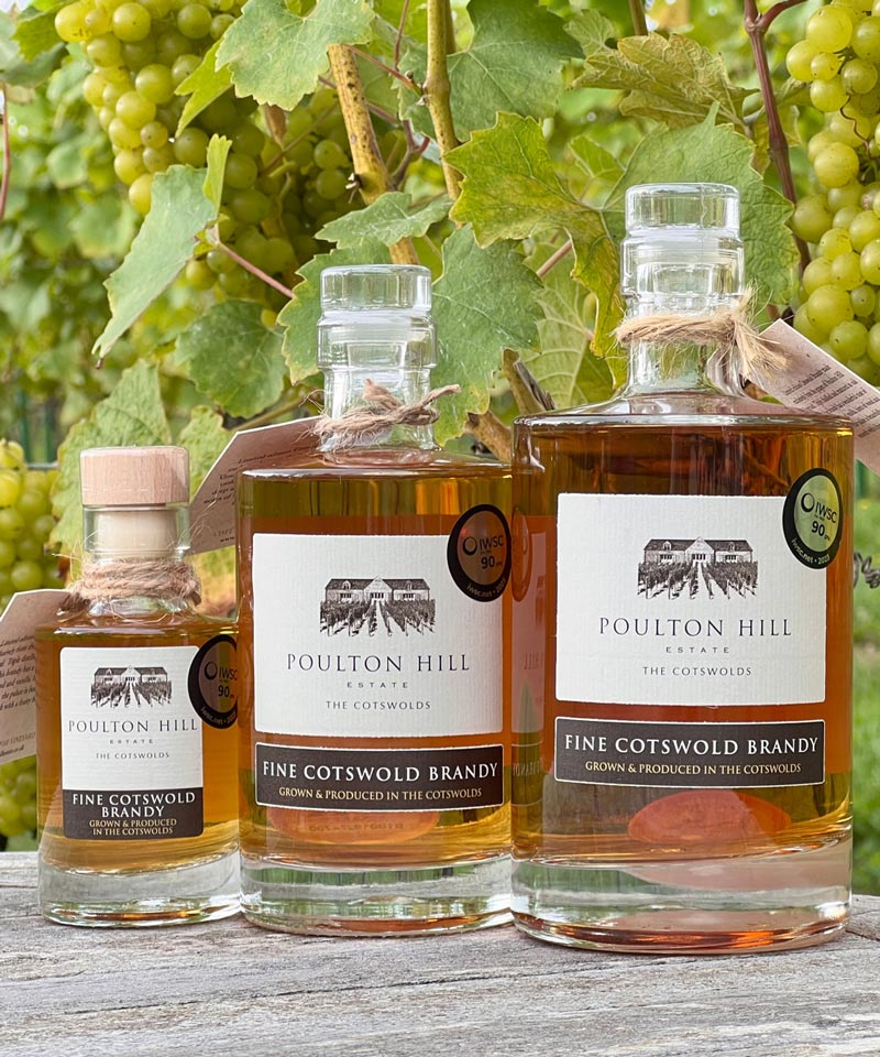 So sánh rượu Whisky và Brandy: Khác biệt giữa hương vị và cách thưởng thức